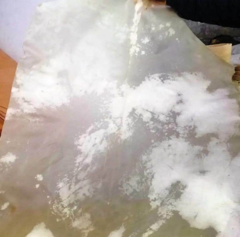 Vellum Parchment Goatskin Semi-translucent Natural – Greenland Pipe Co